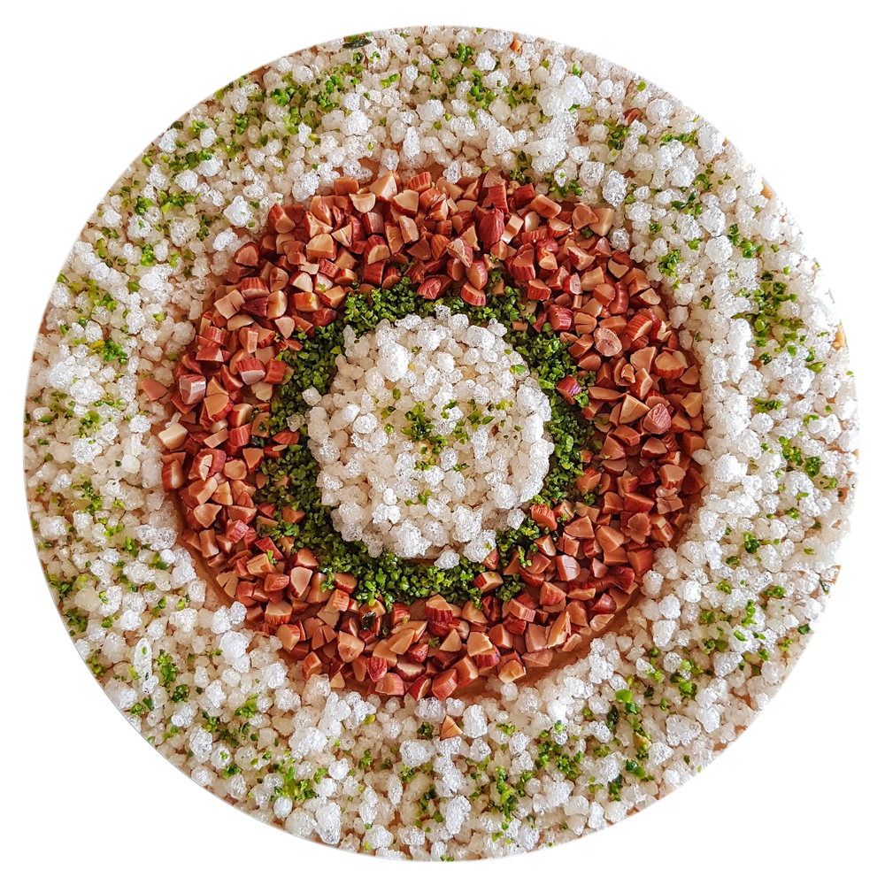 Vedic Spoons ~ Every Thing Your Body Needs to Stay Strong Live Long